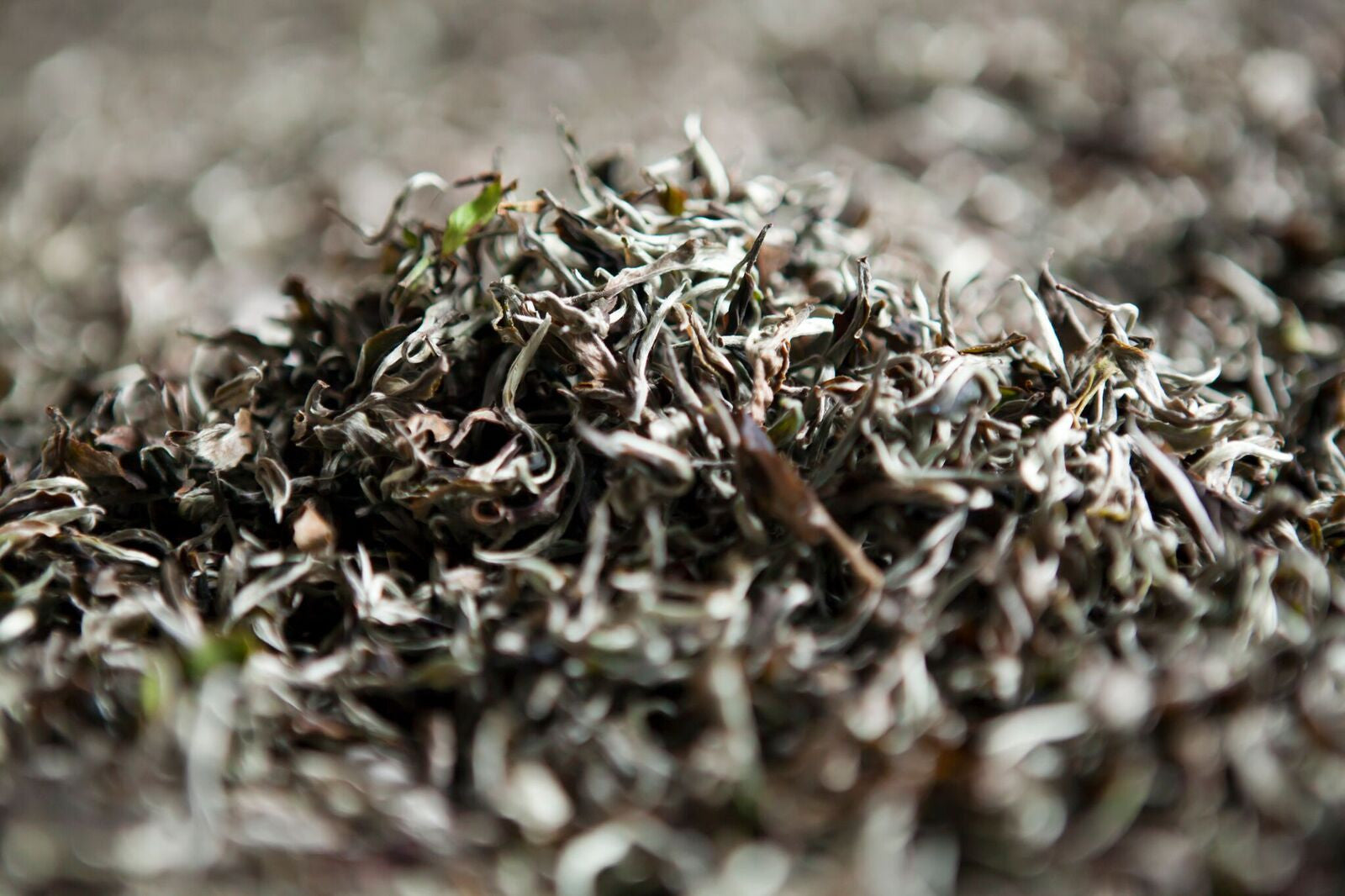 Single Estate – Misty Mountain Tea Company